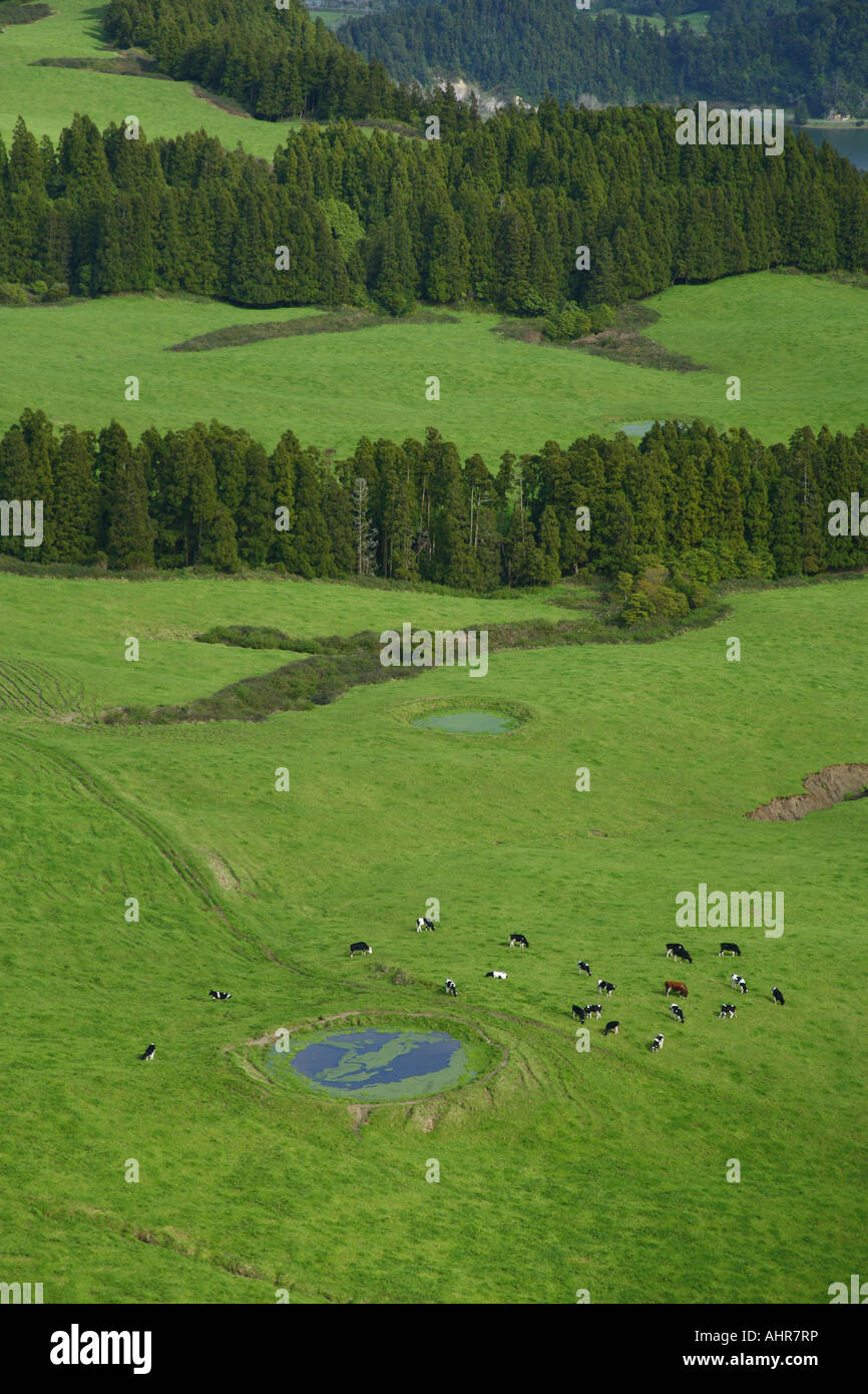 Azores pastures aerial farming hi-res stock photography and images - Alamy