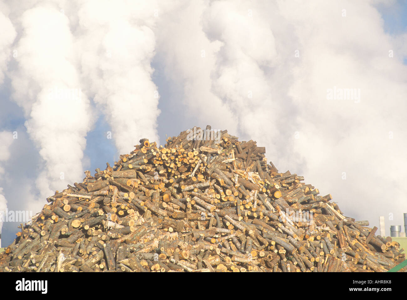 A pile of trees with smoke streaming in the background await milling at ...