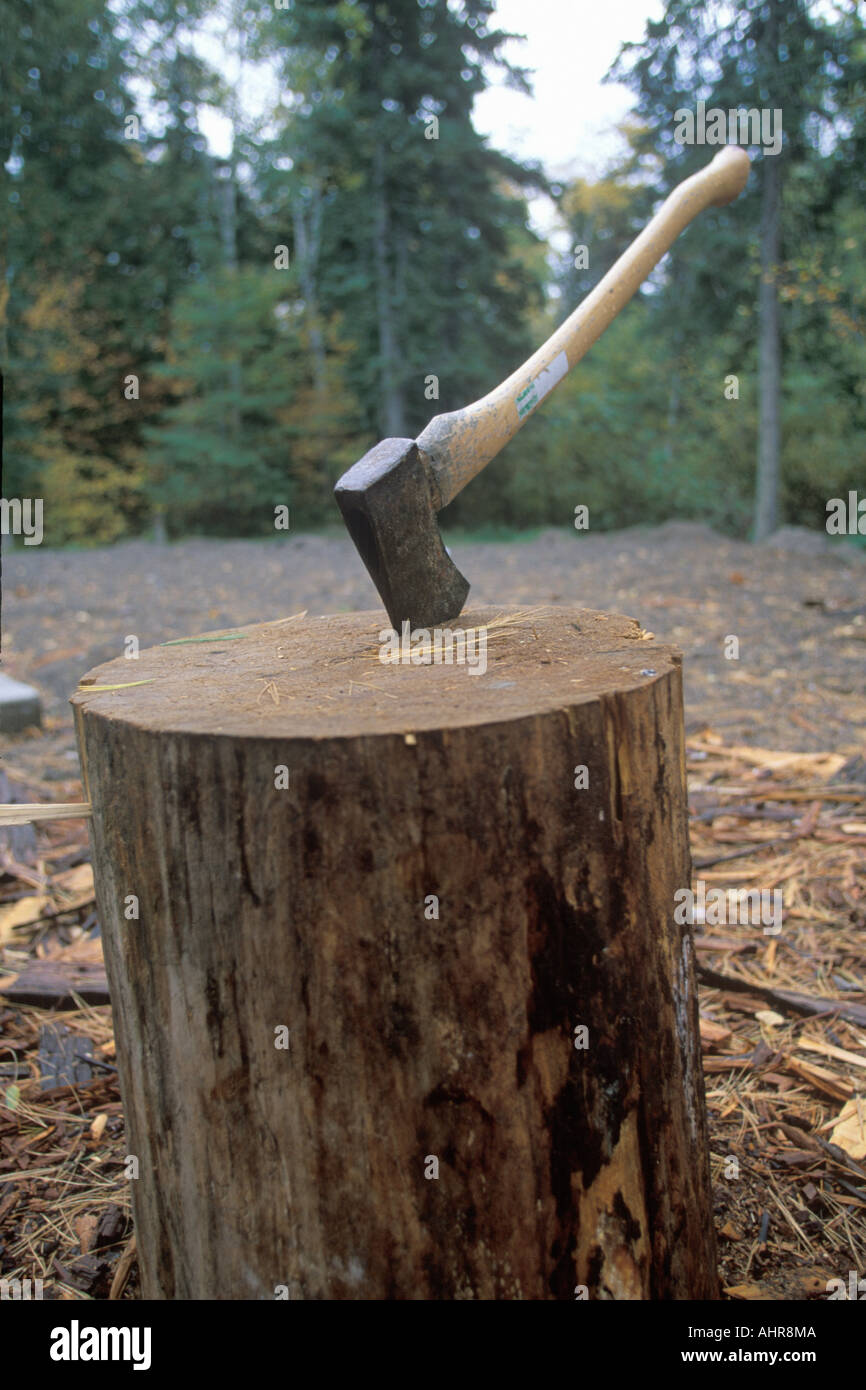 An axe being thrust into a large log in Copper Harbor Michigan Stock ...