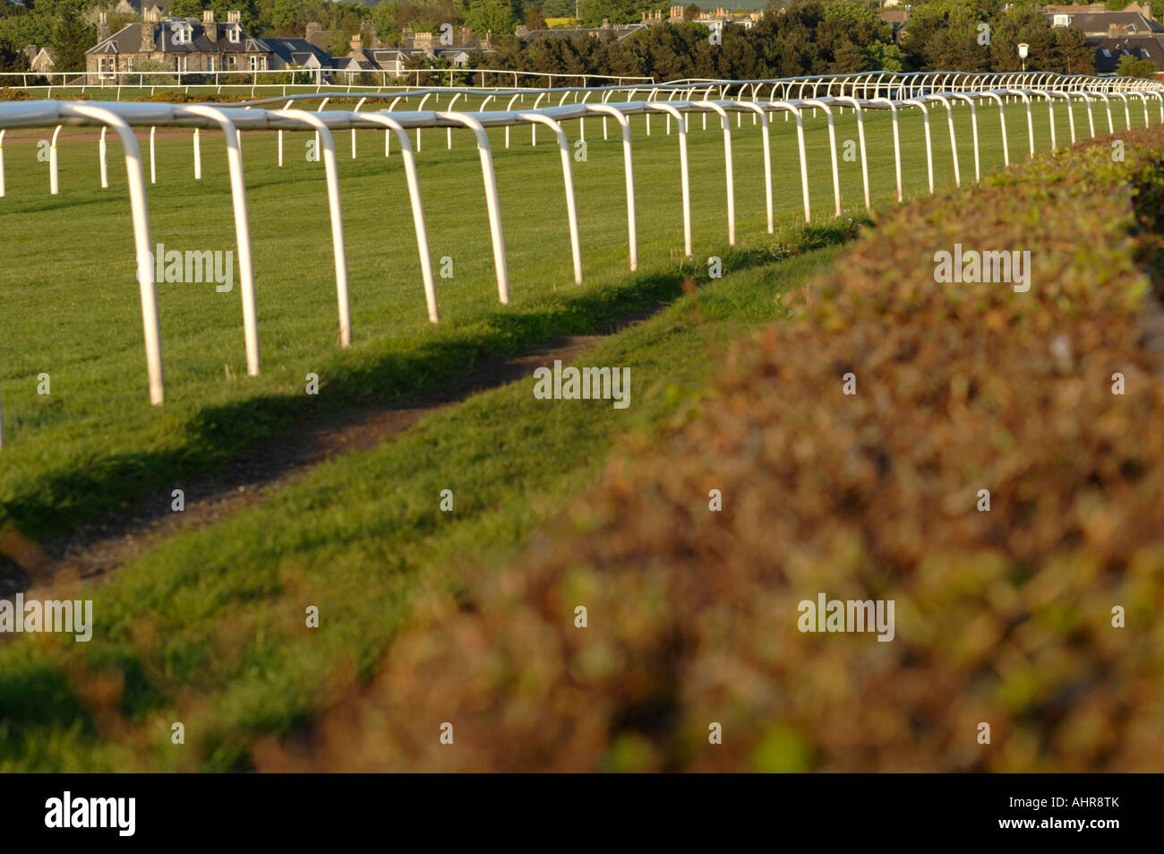 The racecourse at Musselburgh near Edinburgh Midlothian Stock Photo - Alamy