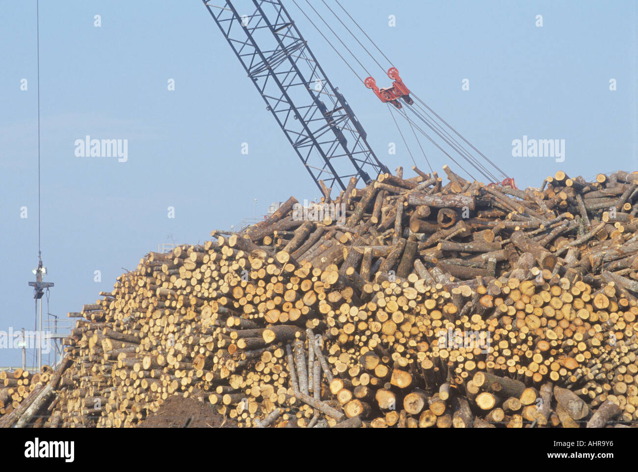 From paper mill hi-res stock photography and images - Alamy