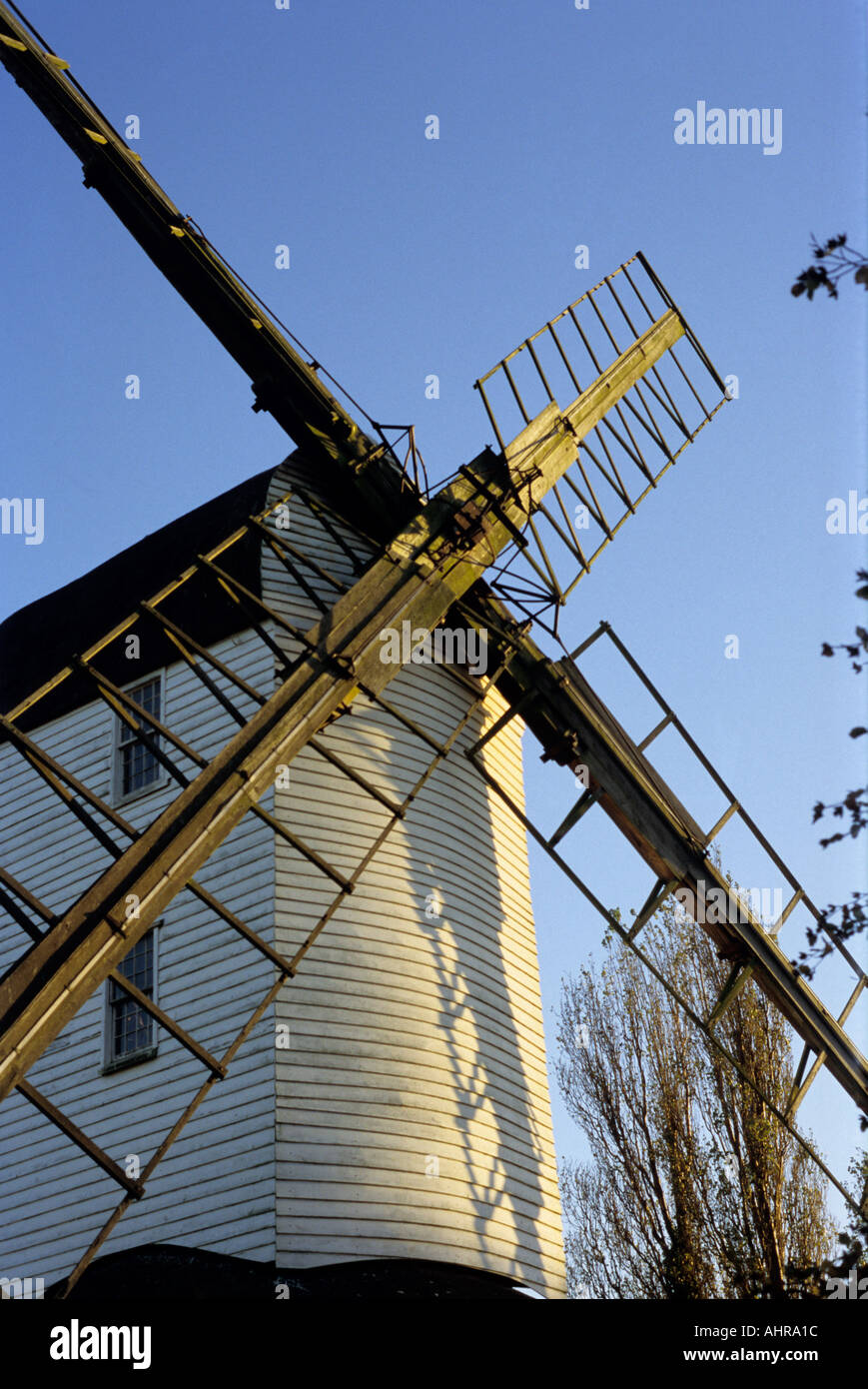 Well preserved panel hi-res stock photography and images - Alamy