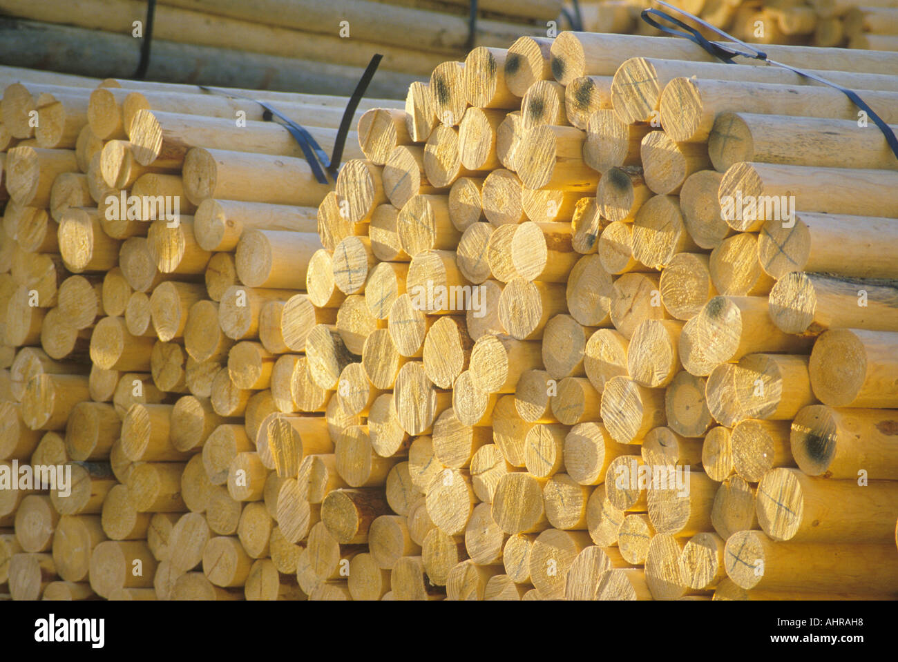 A stack of bundled logs shaped into fence posts Stock Photo - Alamy