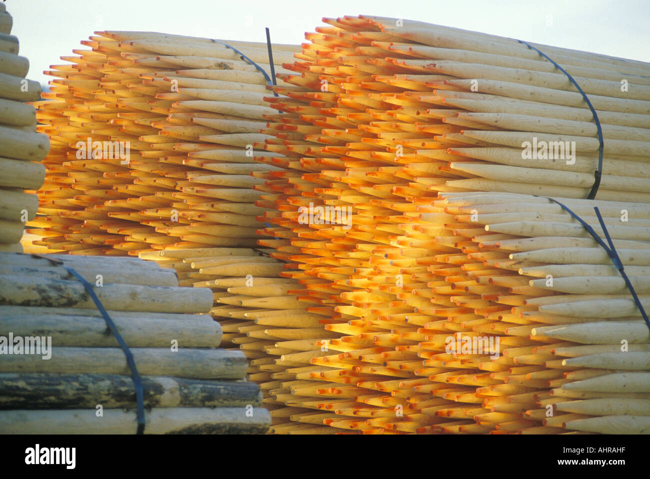 A stack of bundled fence posts with sharpened ends Stock Photo - Alamy