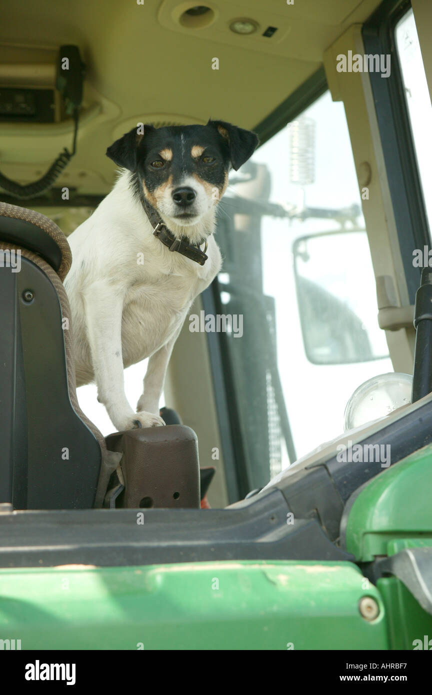 Dog and tractor 2 Stock Photo - Alamy
