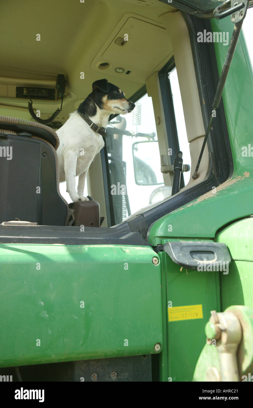 Dog and tractor 4 Stock Photo - Alamy