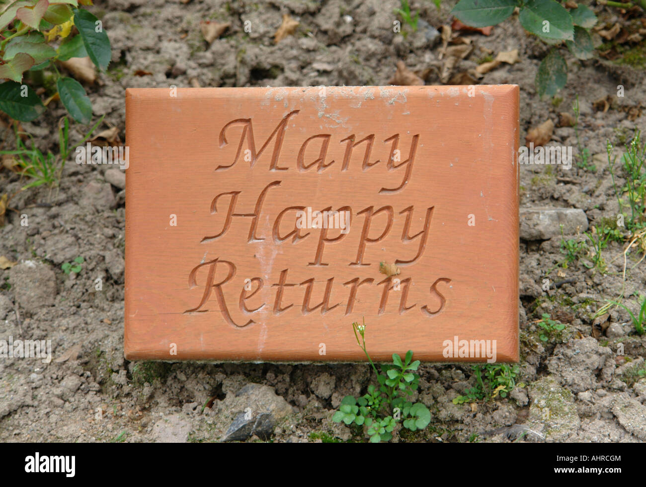 Tralee town park hi-res stock photography and images - Alamy