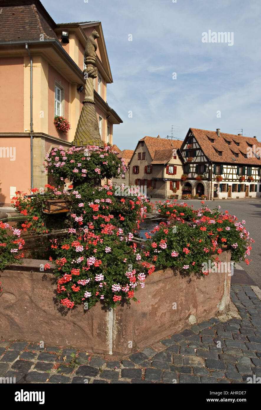 Fountain decorated with flowers in Dambach Alsace with old timbered ...