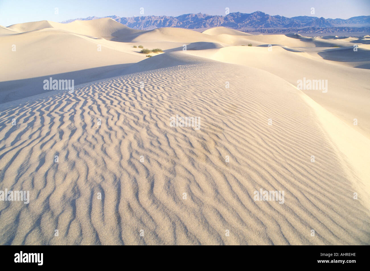 Desert Sand Death Valley California Stock Photo - Alamy