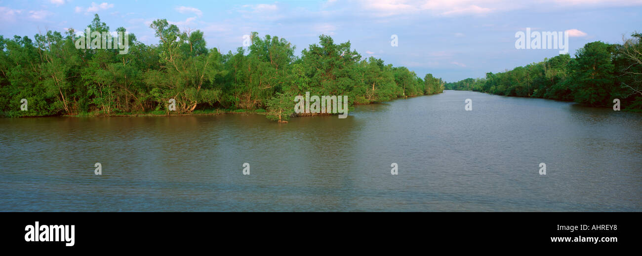 Lake Fausse Pointe State Park Louisiana Stock Photo - Alamy