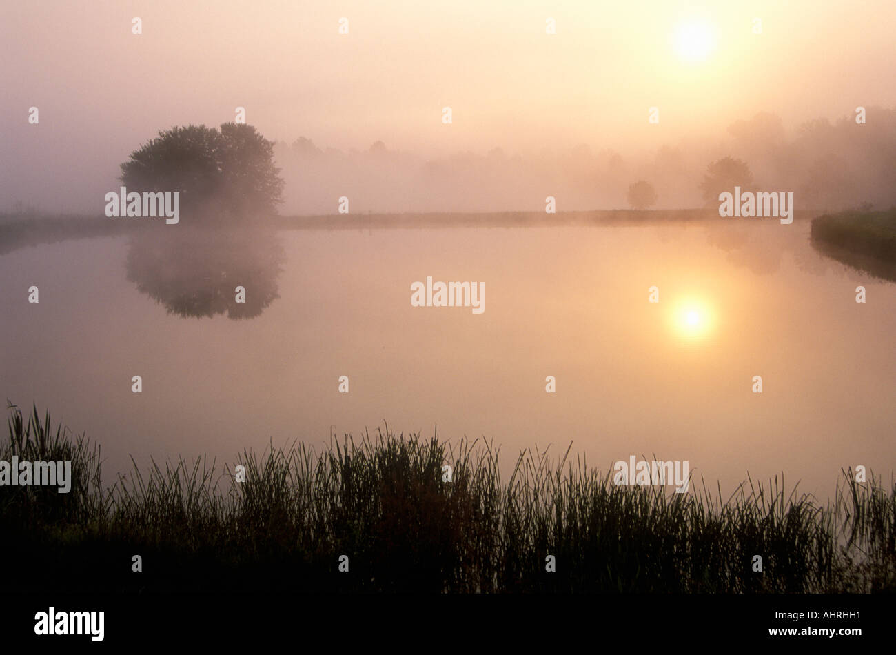 Pond at Sunrise with Morning Mist Stock Photo - Alamy