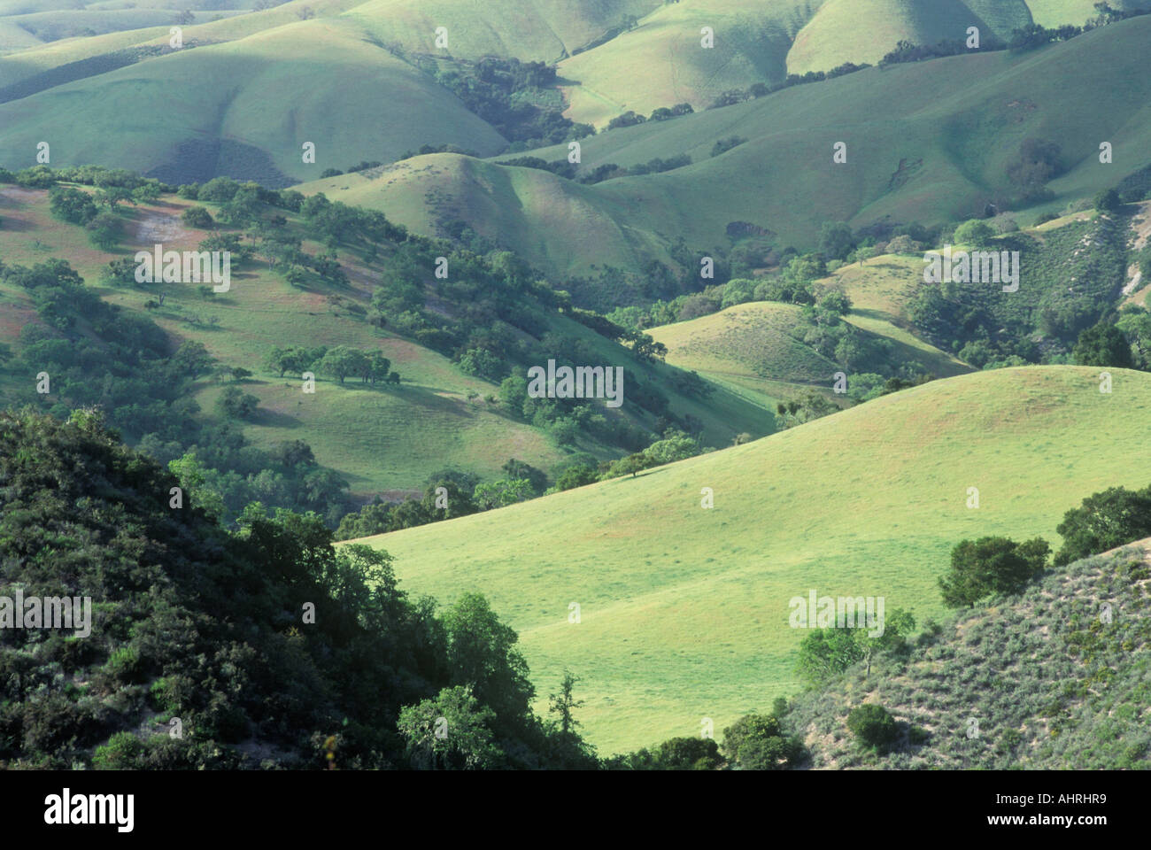 Carmel Mountains High Resolution Stock Photography and Images - Alamy