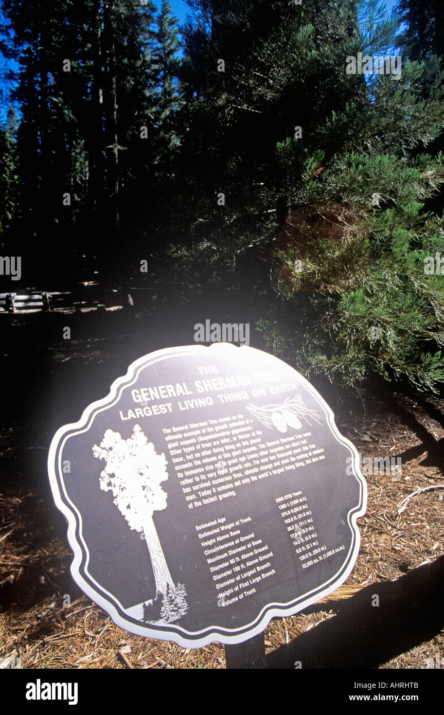 General sherman tree sign hi-res stock photography and images - Alamy
