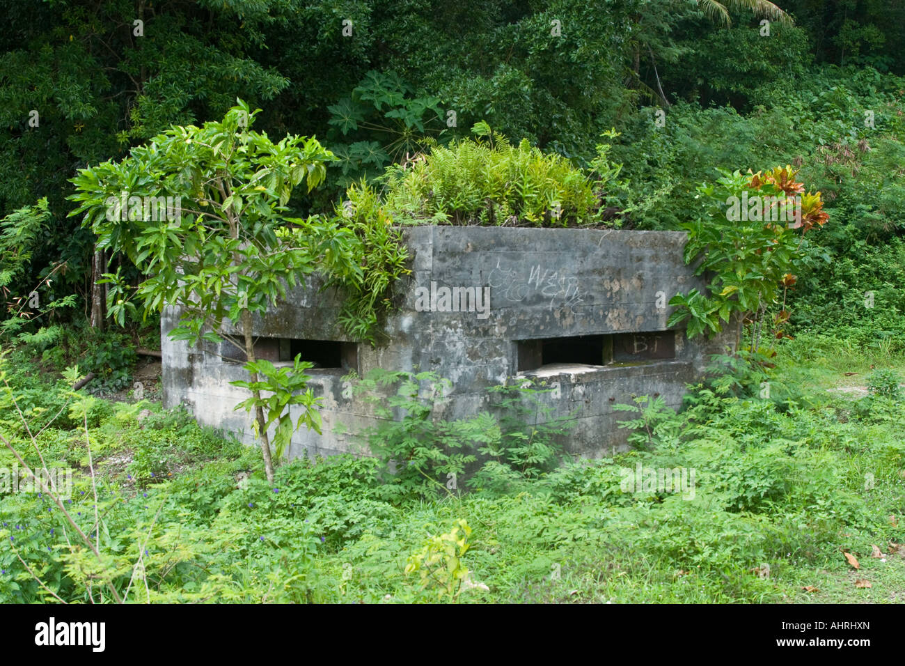 Concrete Bunker Japanese WWII War Concrete Bunker Ruins Peleliu Palau ...
