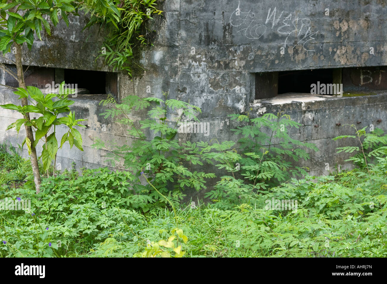 Concrete Bunker Japanese WWII War Concrete Bunker Ruins Peleliu Palau ...