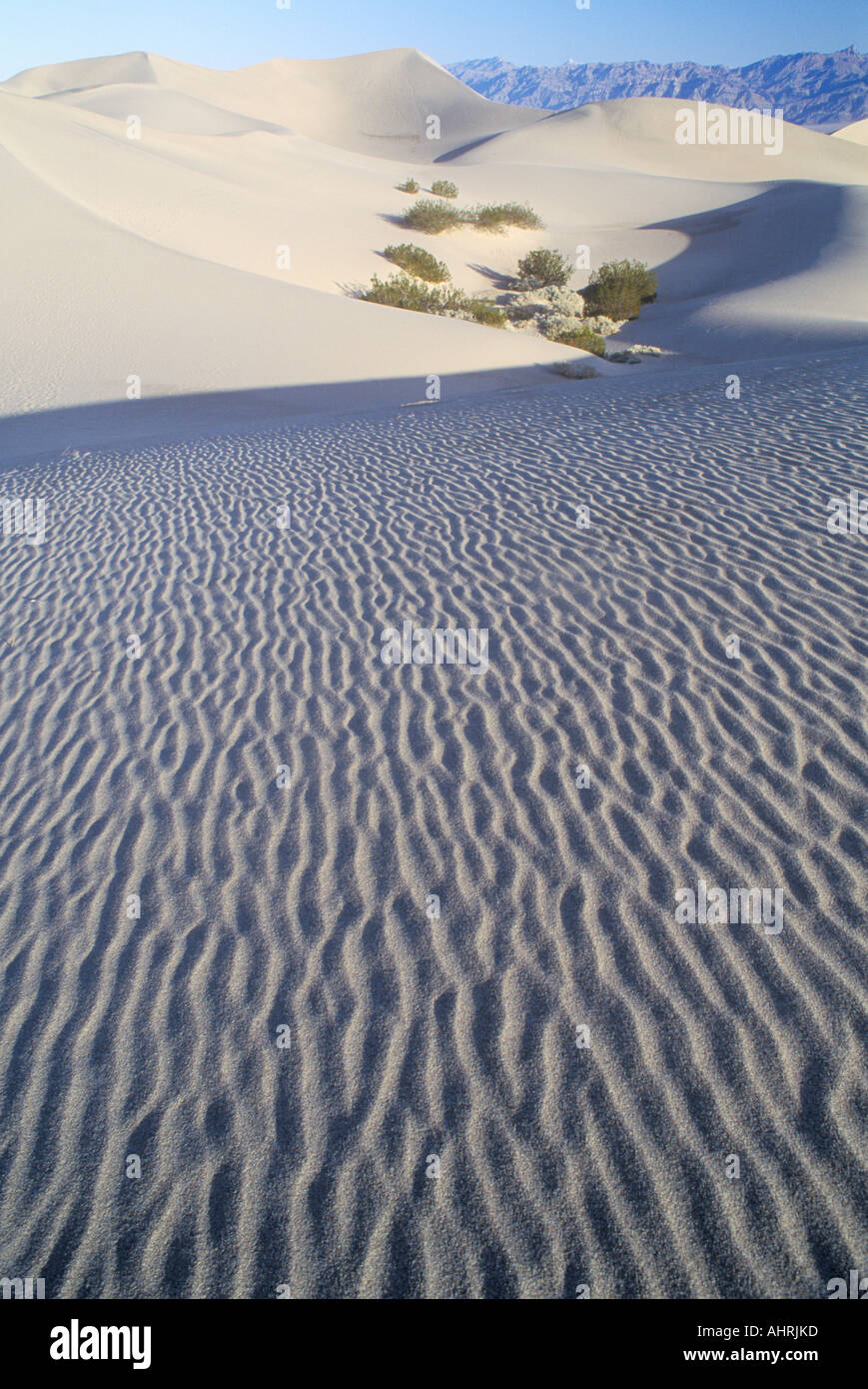 Desert Sand Death Valley California Stock Photo - Alamy