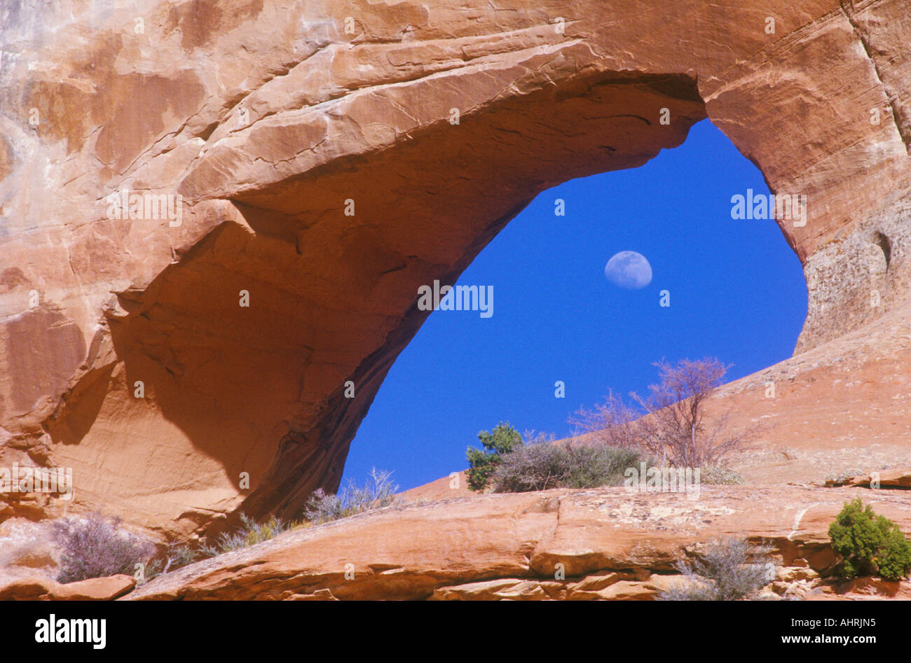 Formation geology utah hi-res stock photography and images - Alamy