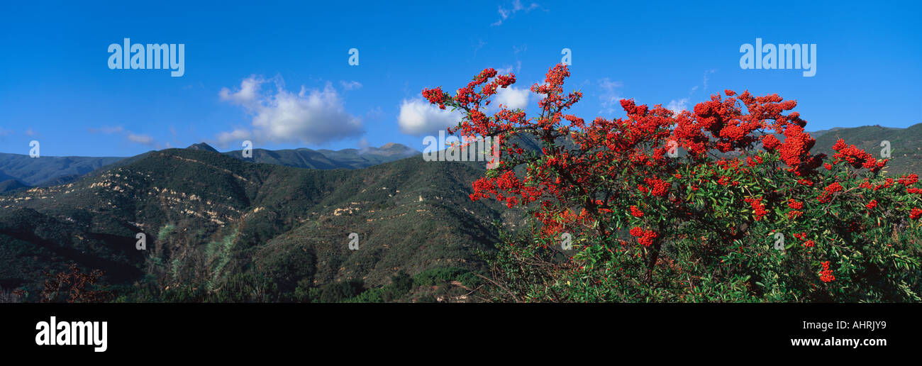 Topa topa mountains hi-res stock photography and images - Alamy