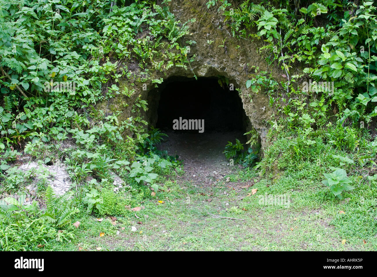 Entrance to Thousand Man Cave Japanese WWII War Relic Ruins Peleliu ...