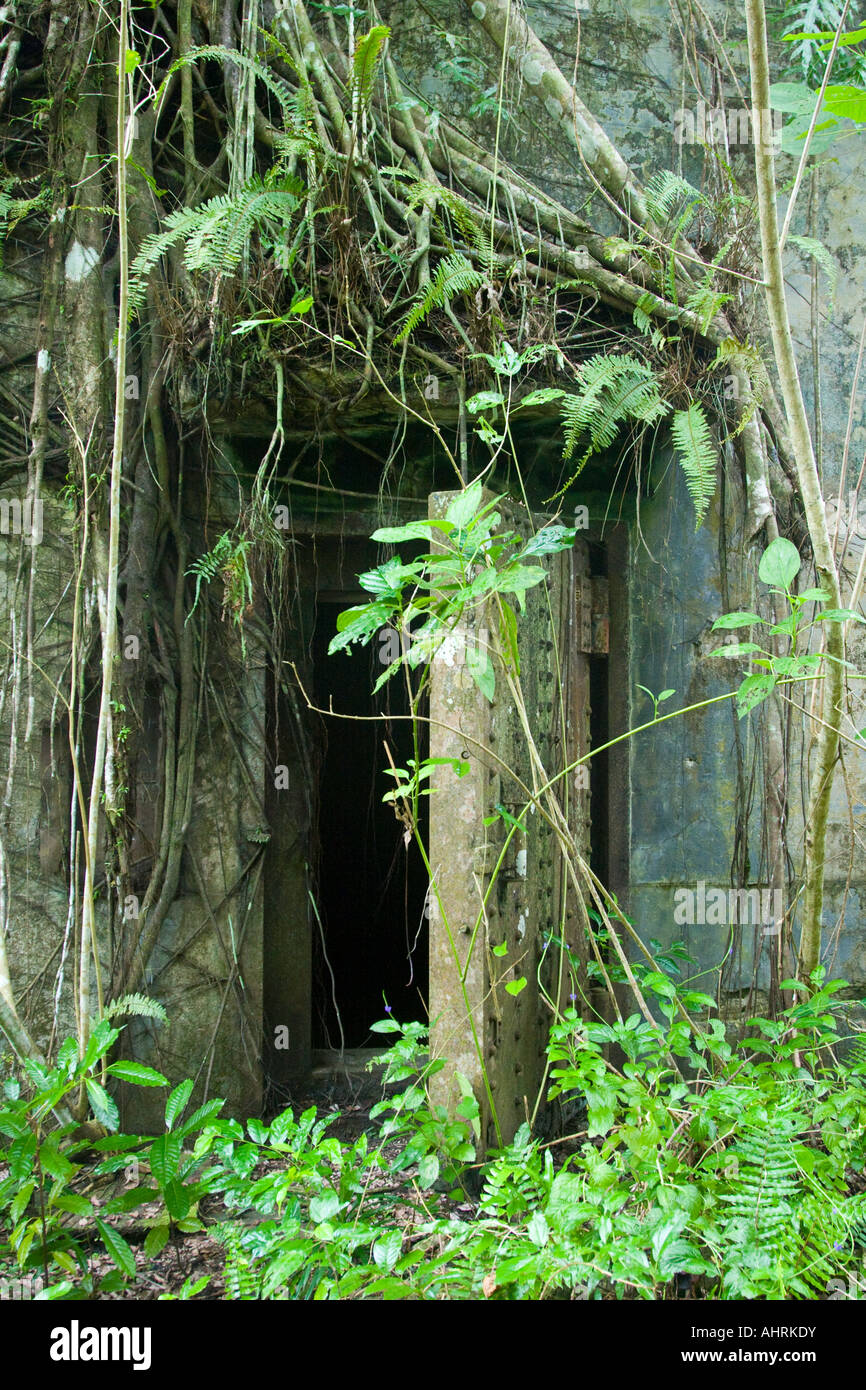 Japanese WWII War Relic Concrete Building Ruins Peleliu Palau Stock ...