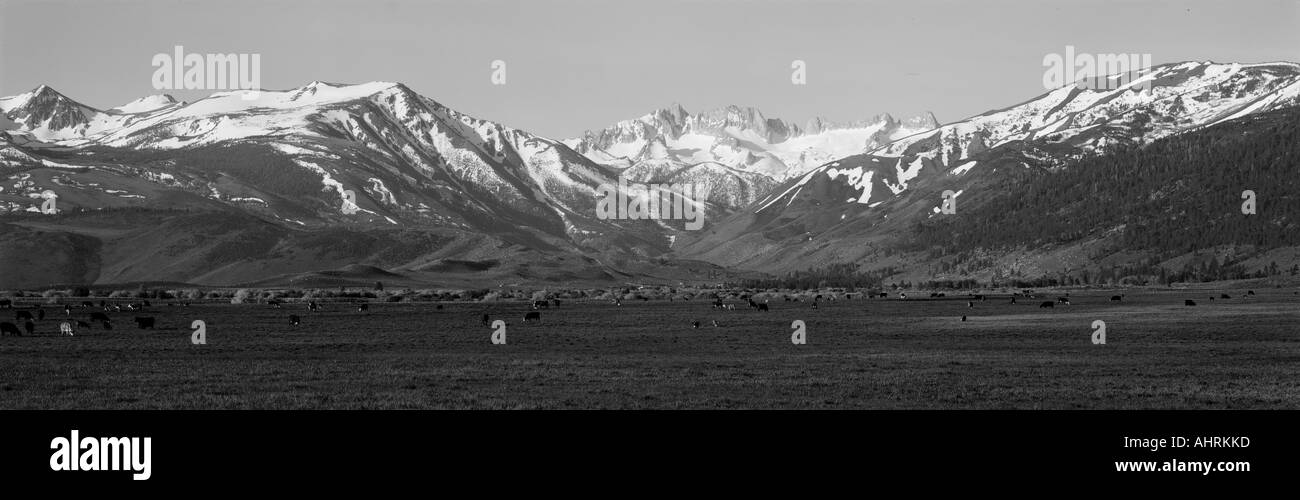 Sierra view Black and White Stock Photos & Images - Alamy