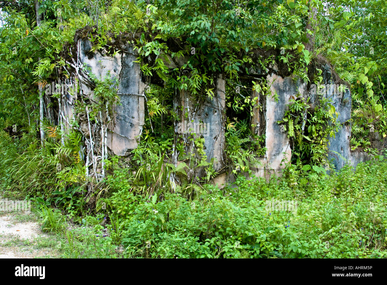 Japanese WWII War Relic Concrete Building Ruins Peleliu Palau Stock ...