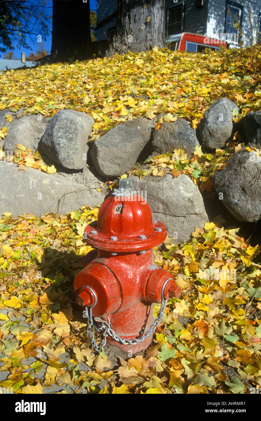 Fire hydrant in Lake Placid NY Stock Photo - Alamy