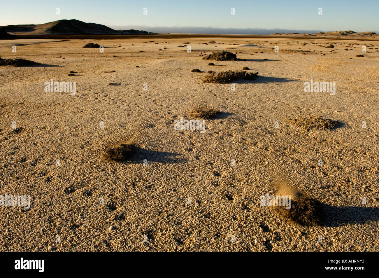 Diamond Coast Recreation area, Luderitz peninsula, Namibia Stock Photo ...