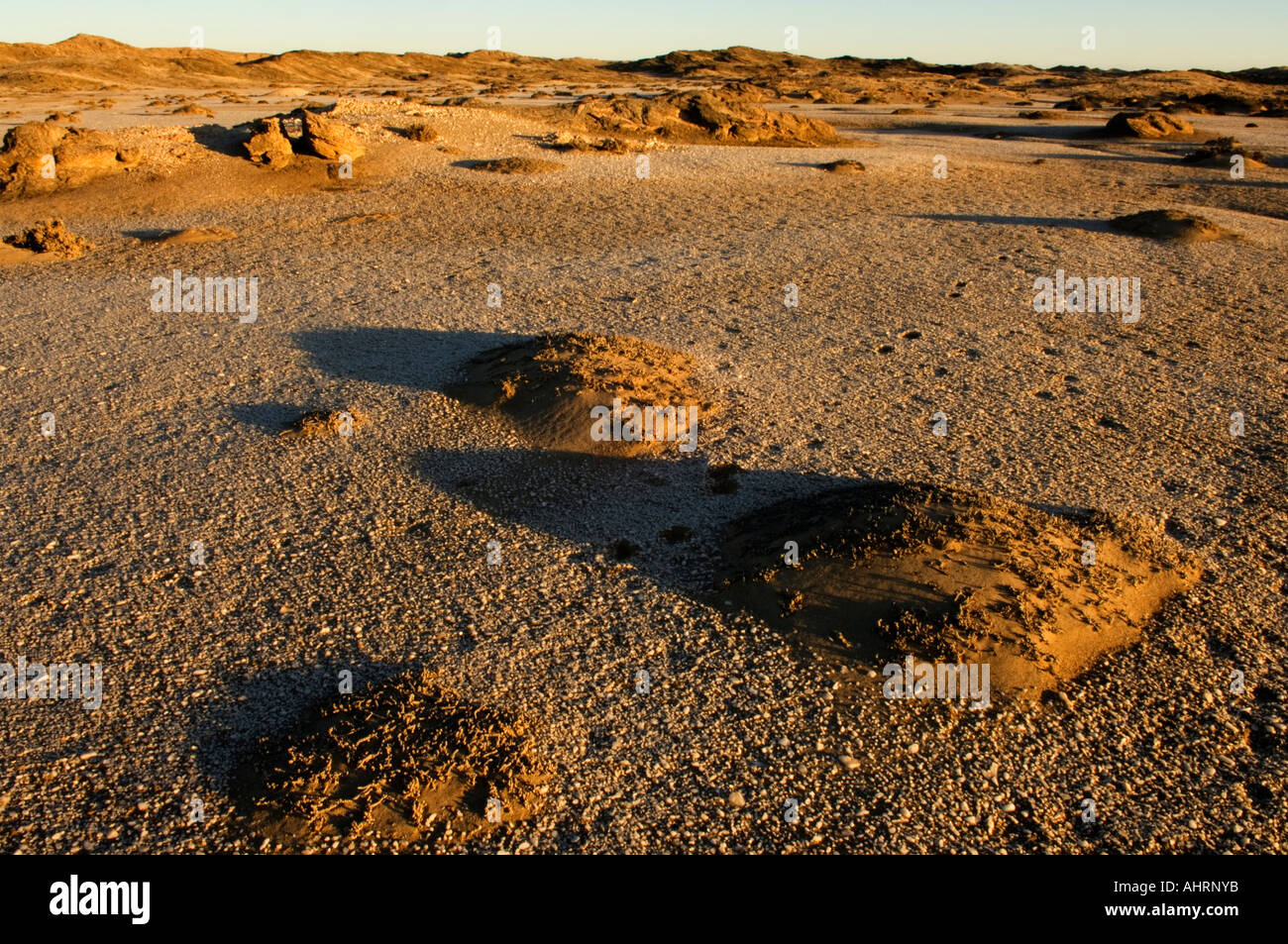 Diamond Coast Recreation area, Luderitz peninsula, Namibia Stock Photo ...