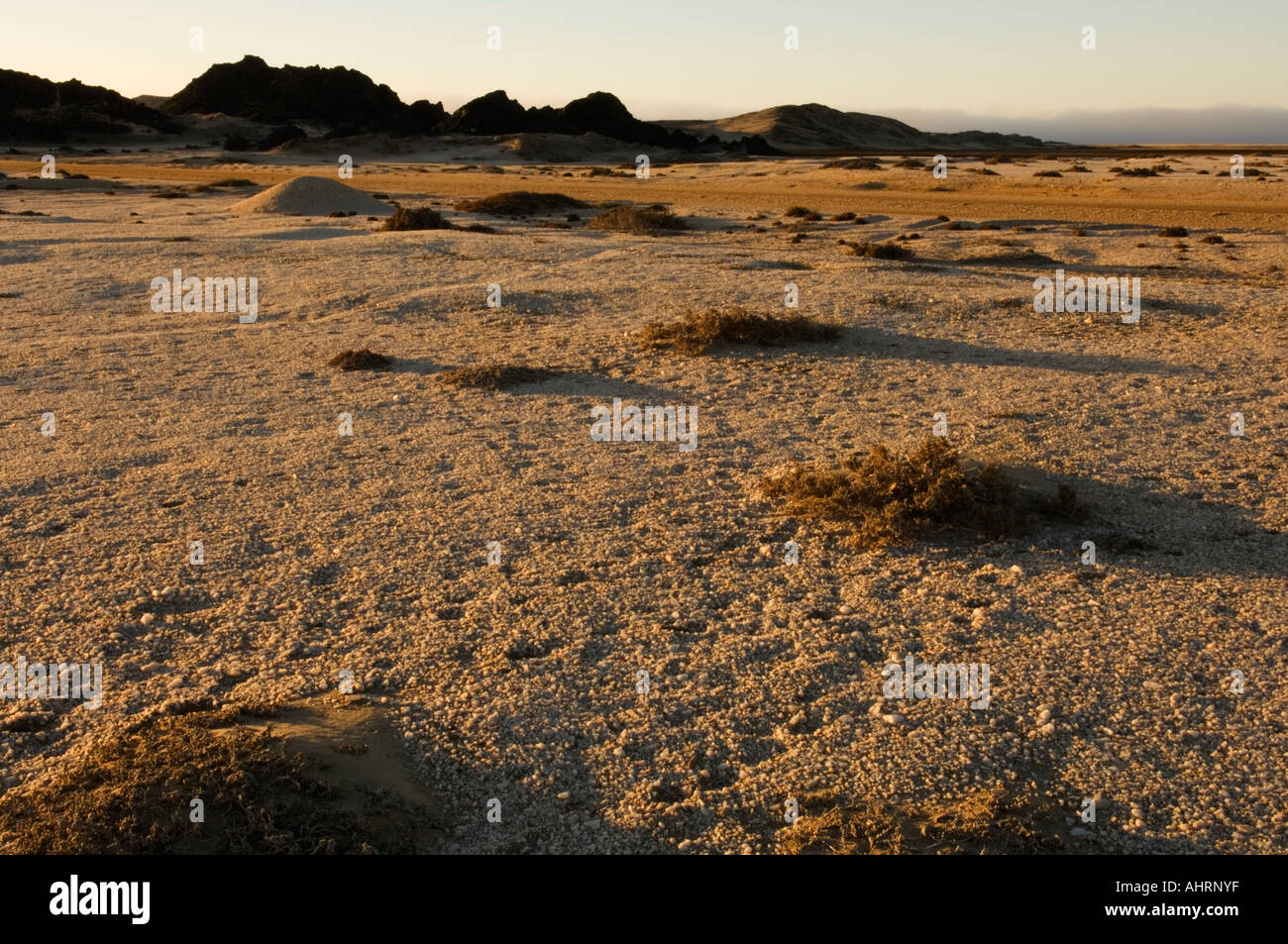 Diamond Coast Recreation area, Luderitz peninsula, Namibia Stock Photo ...
