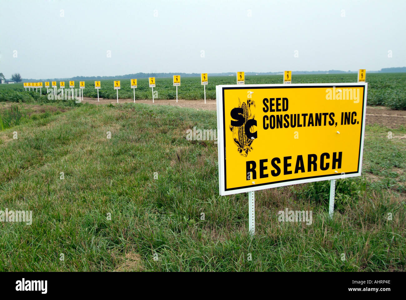 Ohio corn testing fields using various variety of hybrid corn seed near ...