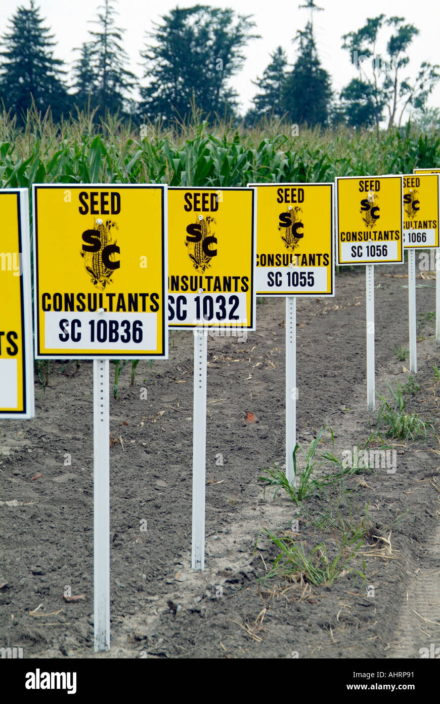 Ohio corn testing fields using various variety of hybrid corn seed near ...