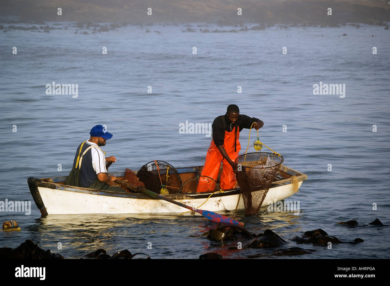 Fishermen catching lobster, Diamond Coast Recreation area, Luderitz ...