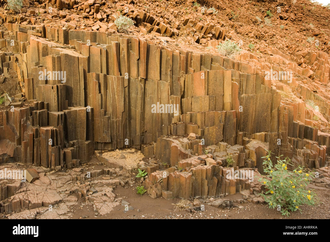 organ pipes, Twijfelfontein, Southern Damaraland, Namibia Stock Photo ...