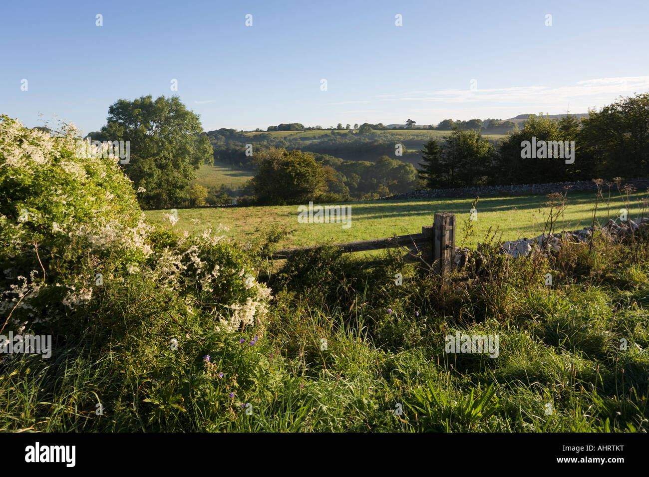 Early morning on the Cotswolds in the Caudle Green valley ...