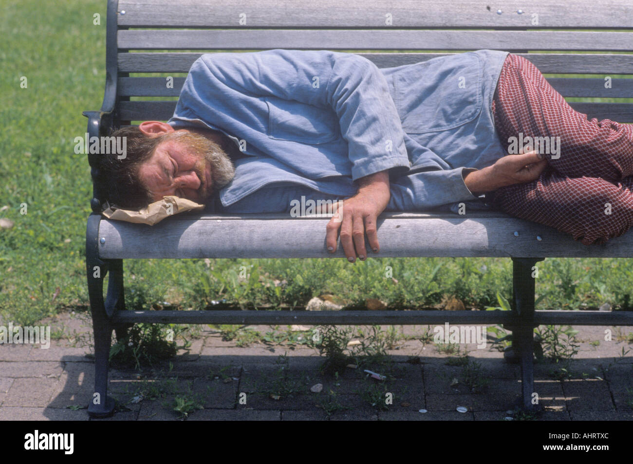 Homeless man sleeping on a park bench Los Angeles California Stock ...