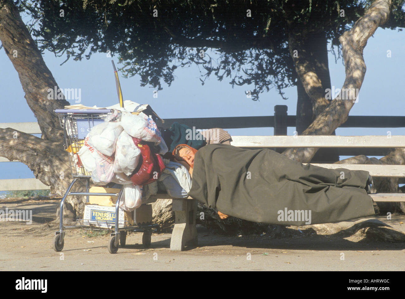 Homeless woman sleeping with shopping cart possessions Santa Monica ...