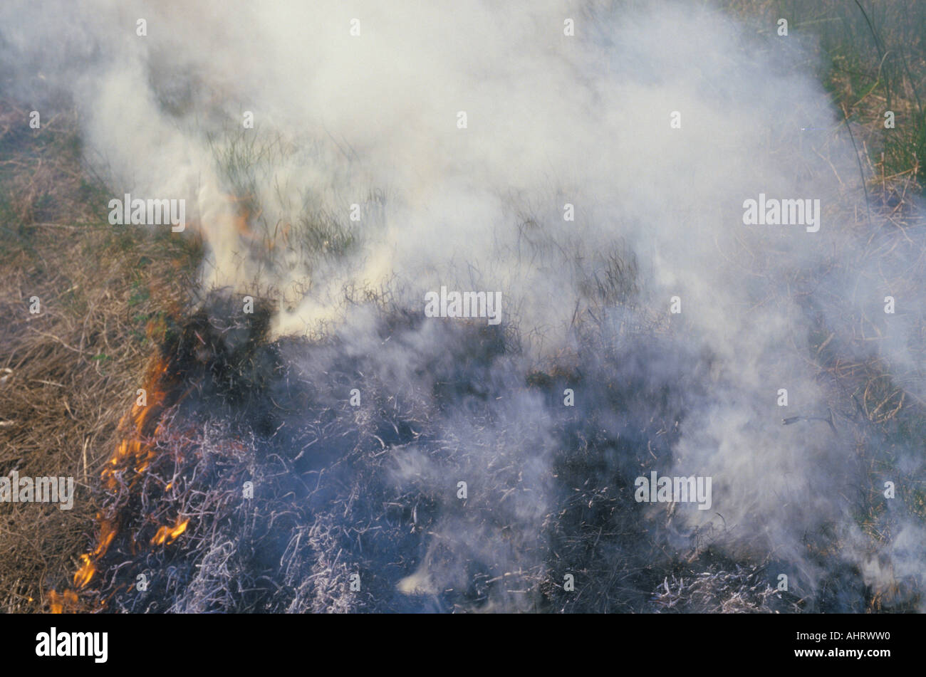 Brush fire Illinois Stock Photo - Alamy