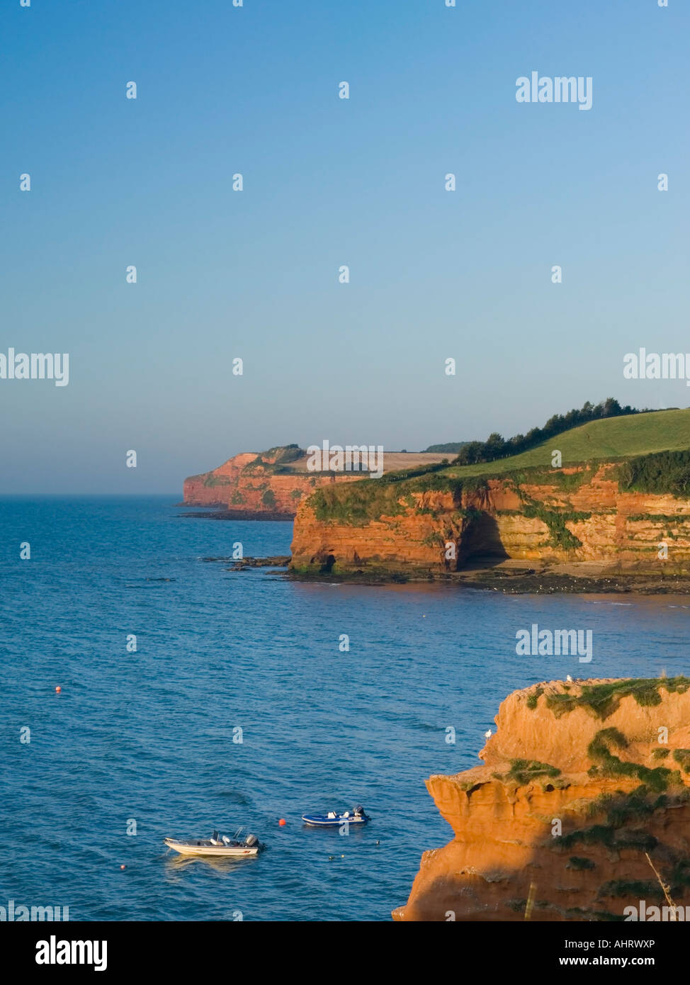 UK England Devon red cliffs of Ladram Bay Stock Photo - Alamy