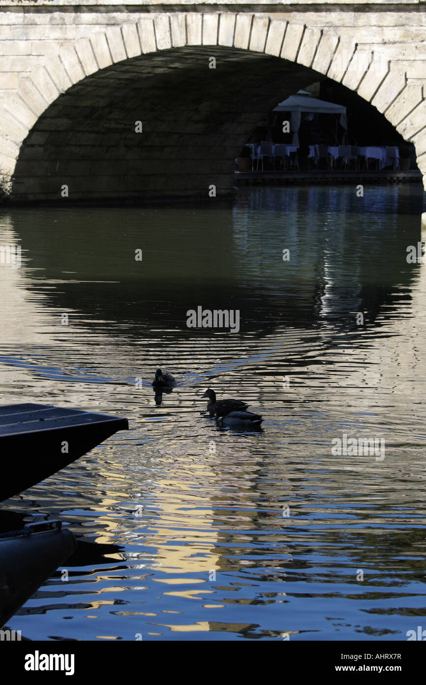 Ducks under Folly Bridge Oxford Stock Photo - Alamy