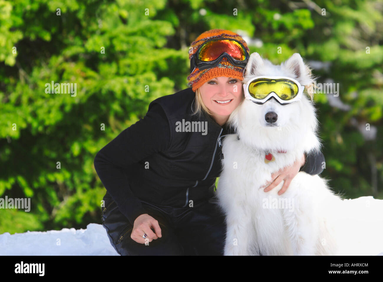 Dog in goggles hi-res stock photography and images - Alamy