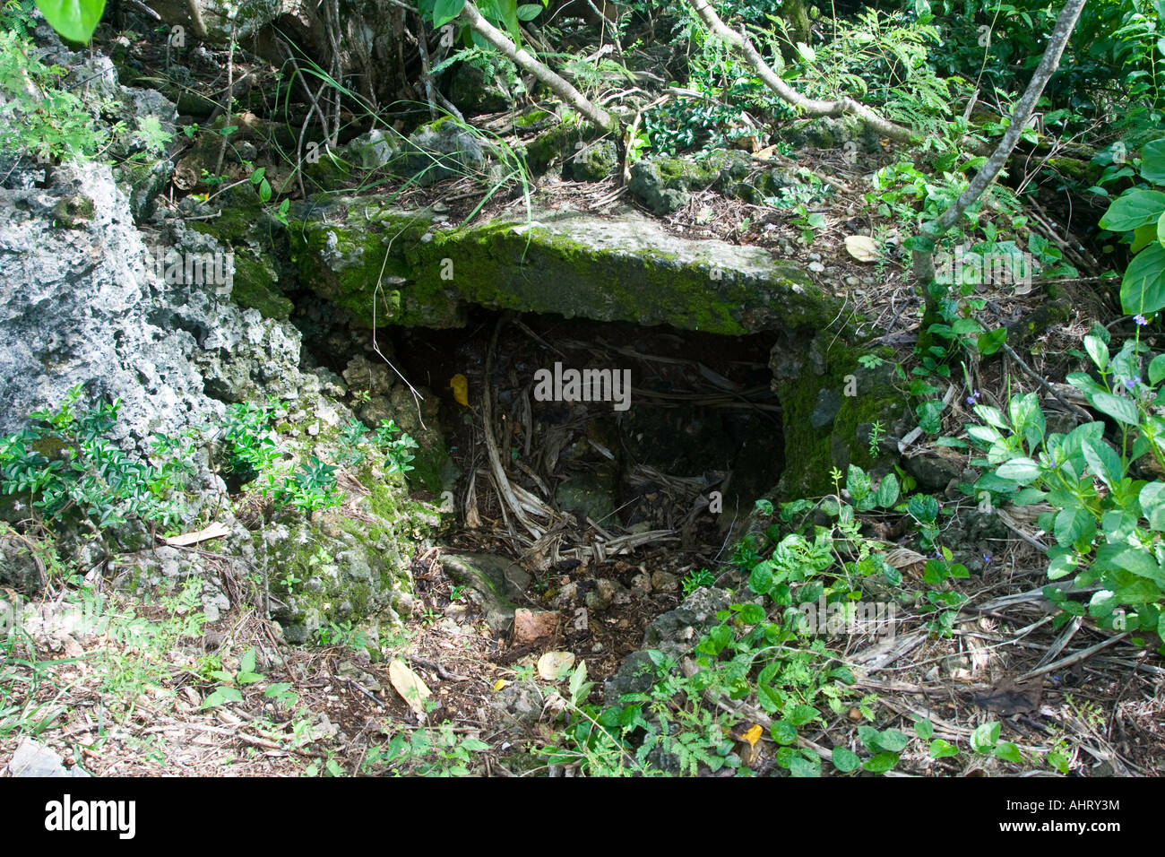 Asan Ridge Japanese Fortification WWII Battlefield Memorial National ...