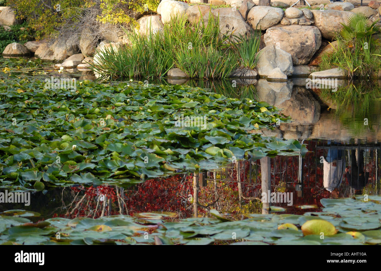 Alice keck hi-res stock photography and images - Alamy
