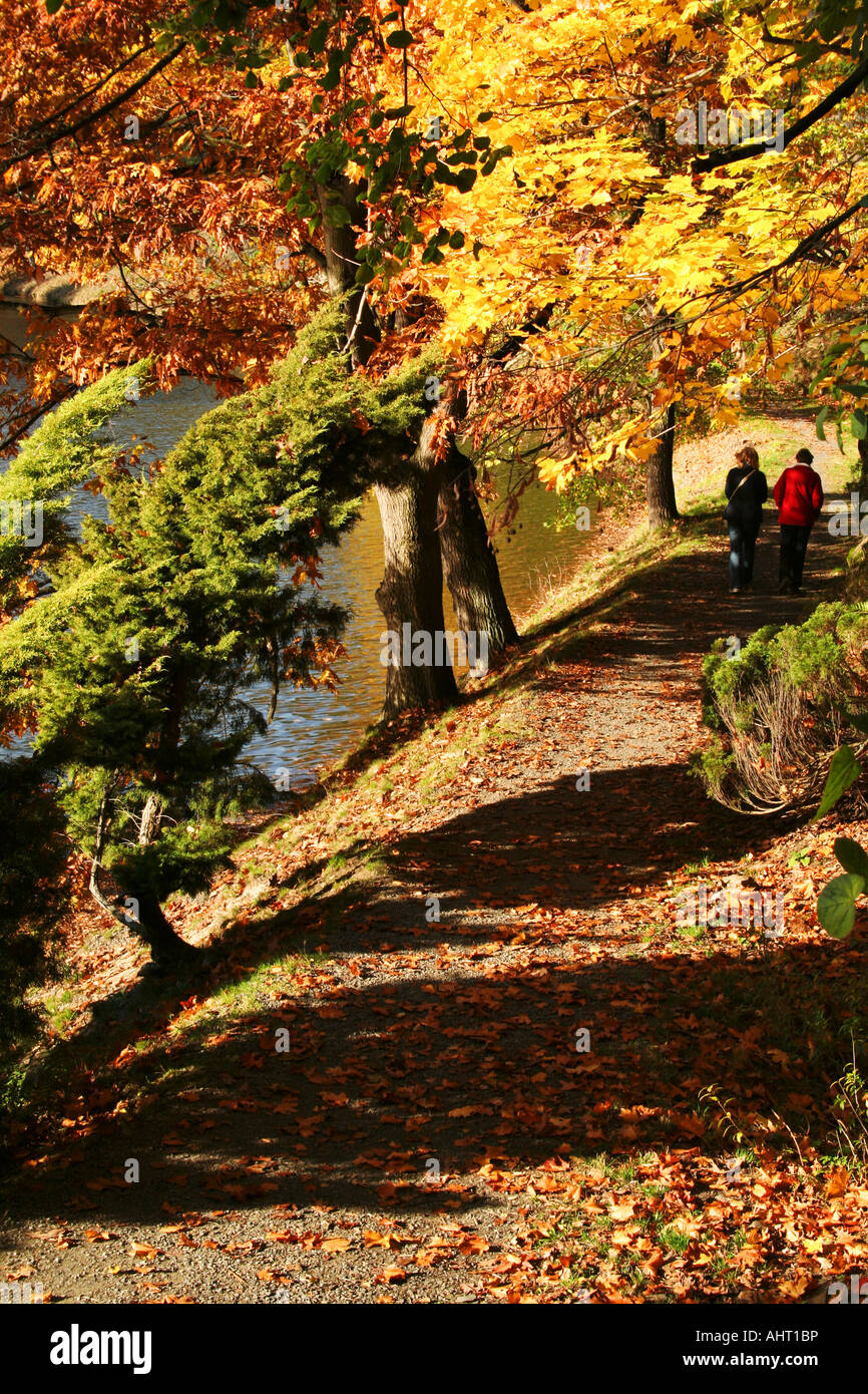 Avenue trees walking couple hi-res stock photography and images - Alamy