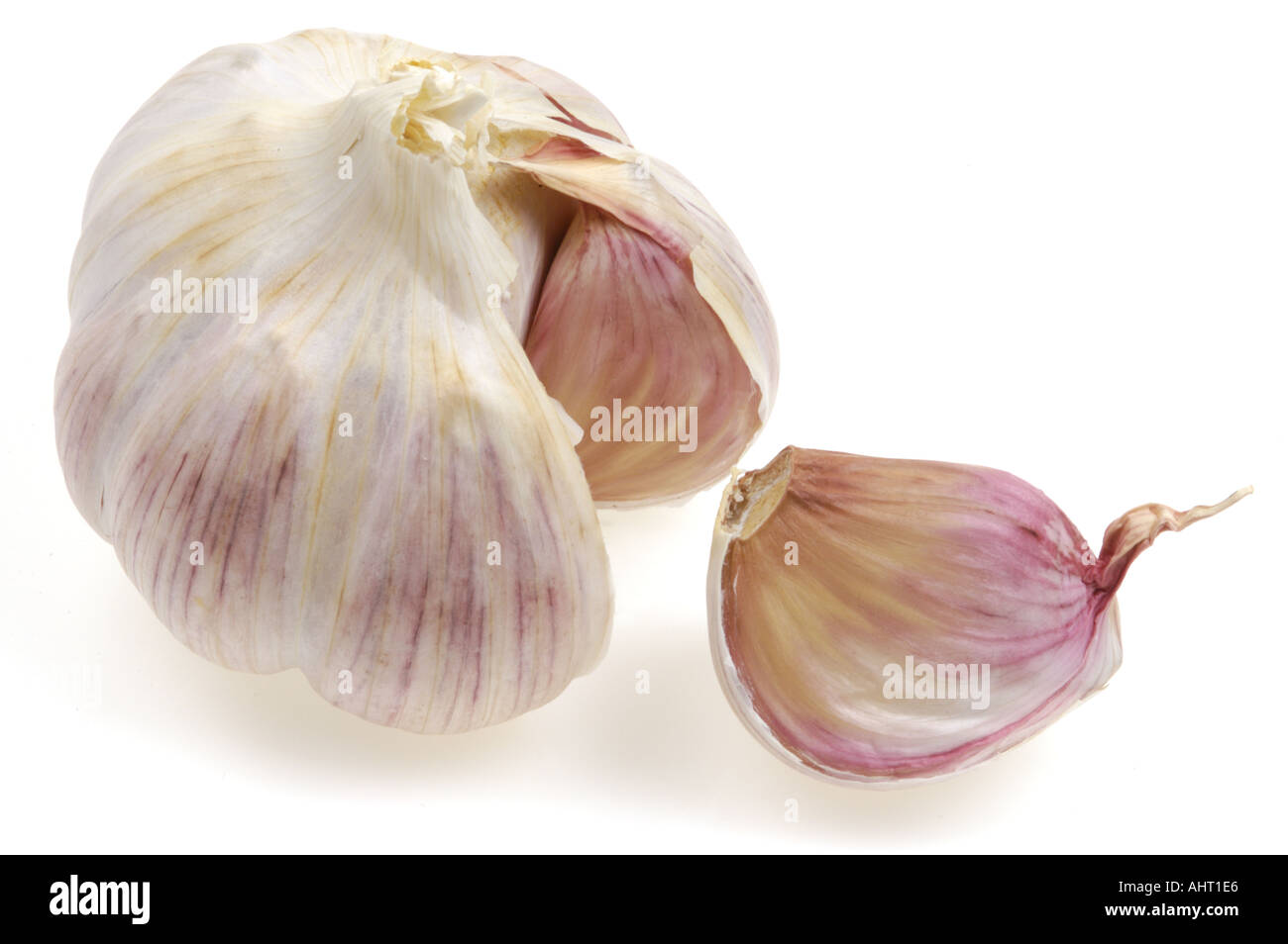 fresh GARLIC knoblauch on white background Stock Photo - Alamy