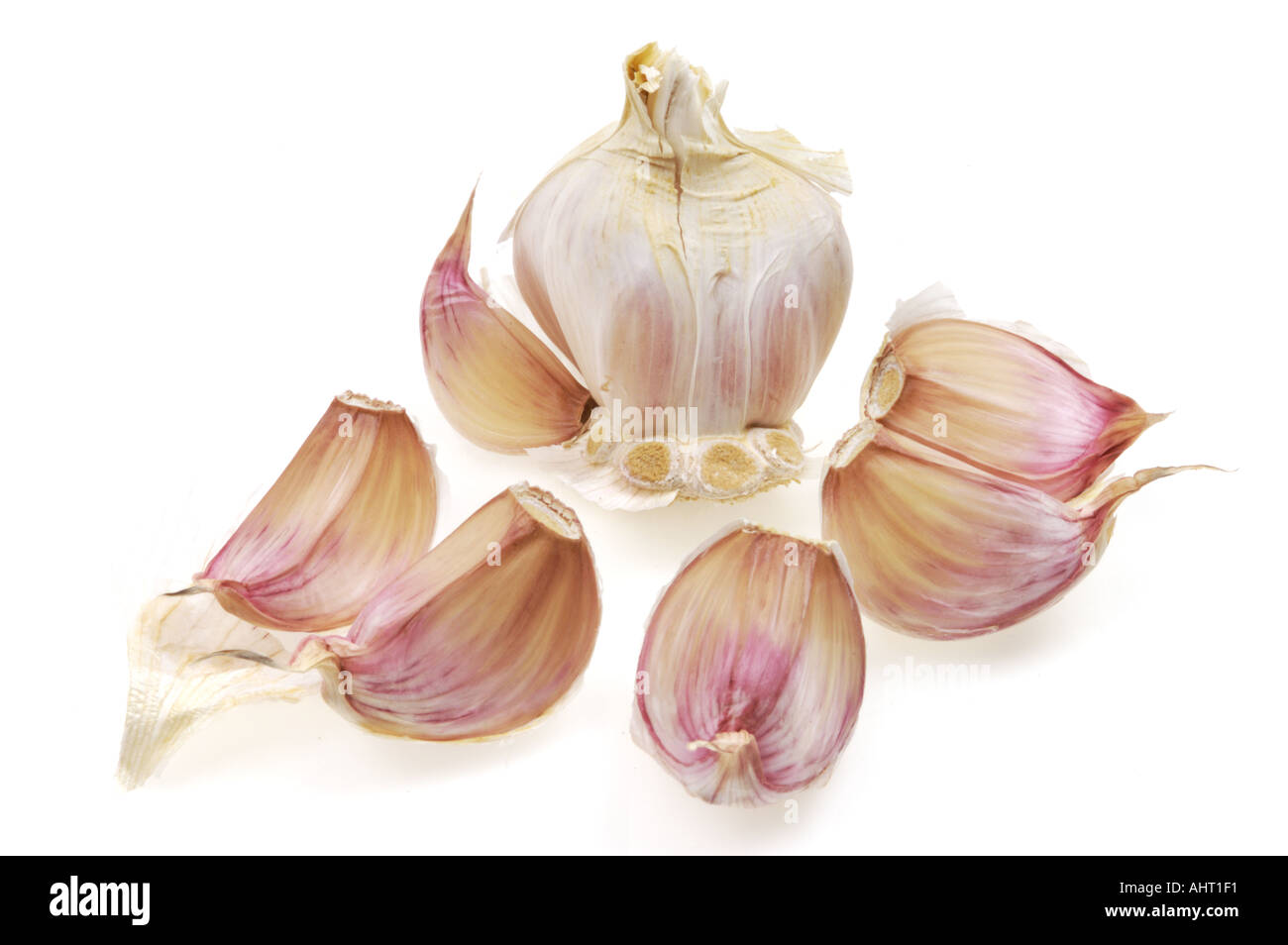 fresh GARLIC knoblauch on white background Stock Photo - Alamy