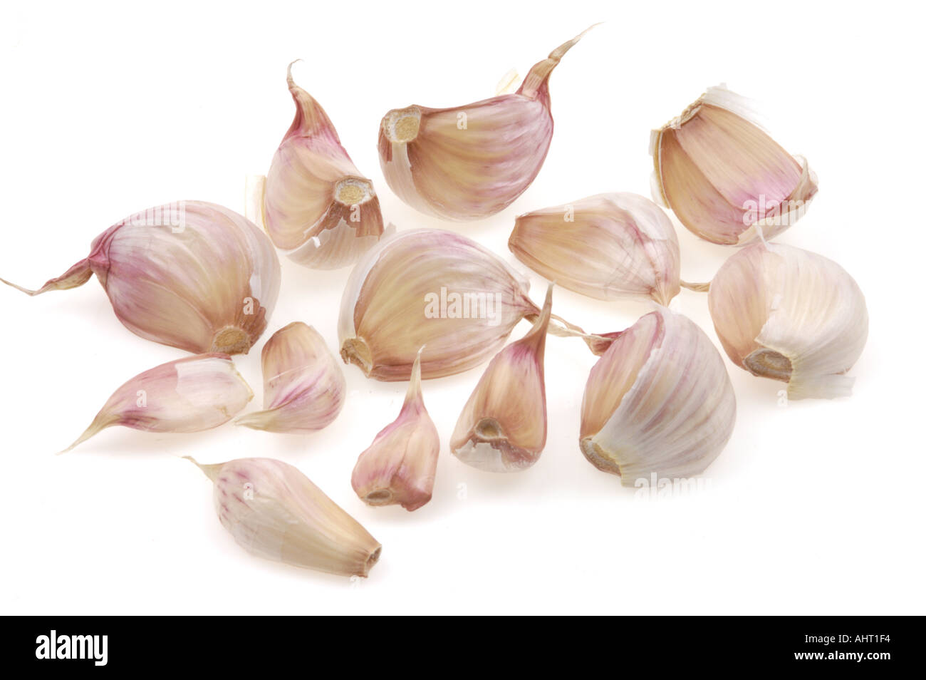 fresh GARLIC knoblauch on white background Stock Photo - Alamy