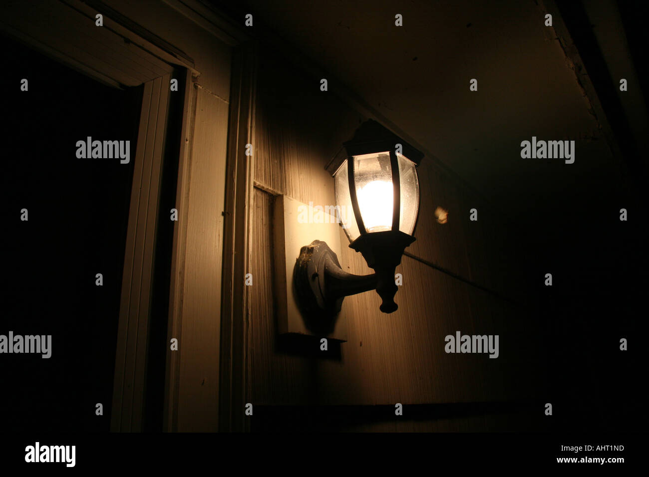 Moths attracted to light hi-res stock photography and images - Alamy