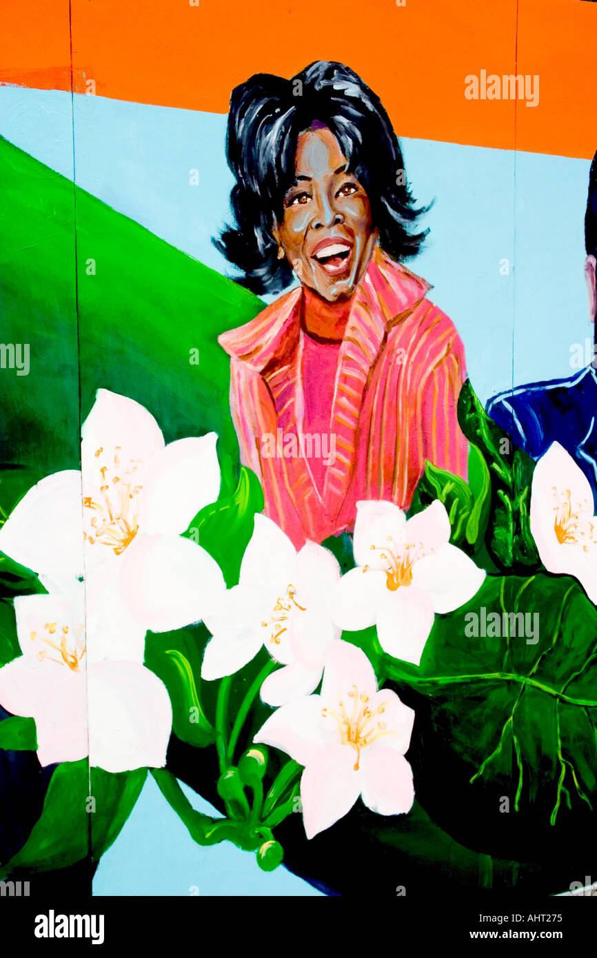 Oprah Winfrey Street art work portrait at Millennium Park construction ...