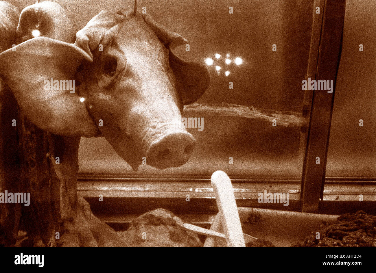 Chopped off head hi-res stock photography and images - Alamy